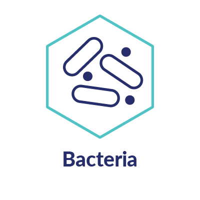 Purity Meets Performance with KDF®